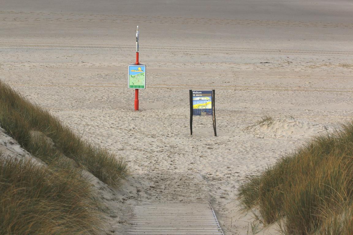 Haaientanden op het strand - Cadzand-Bad