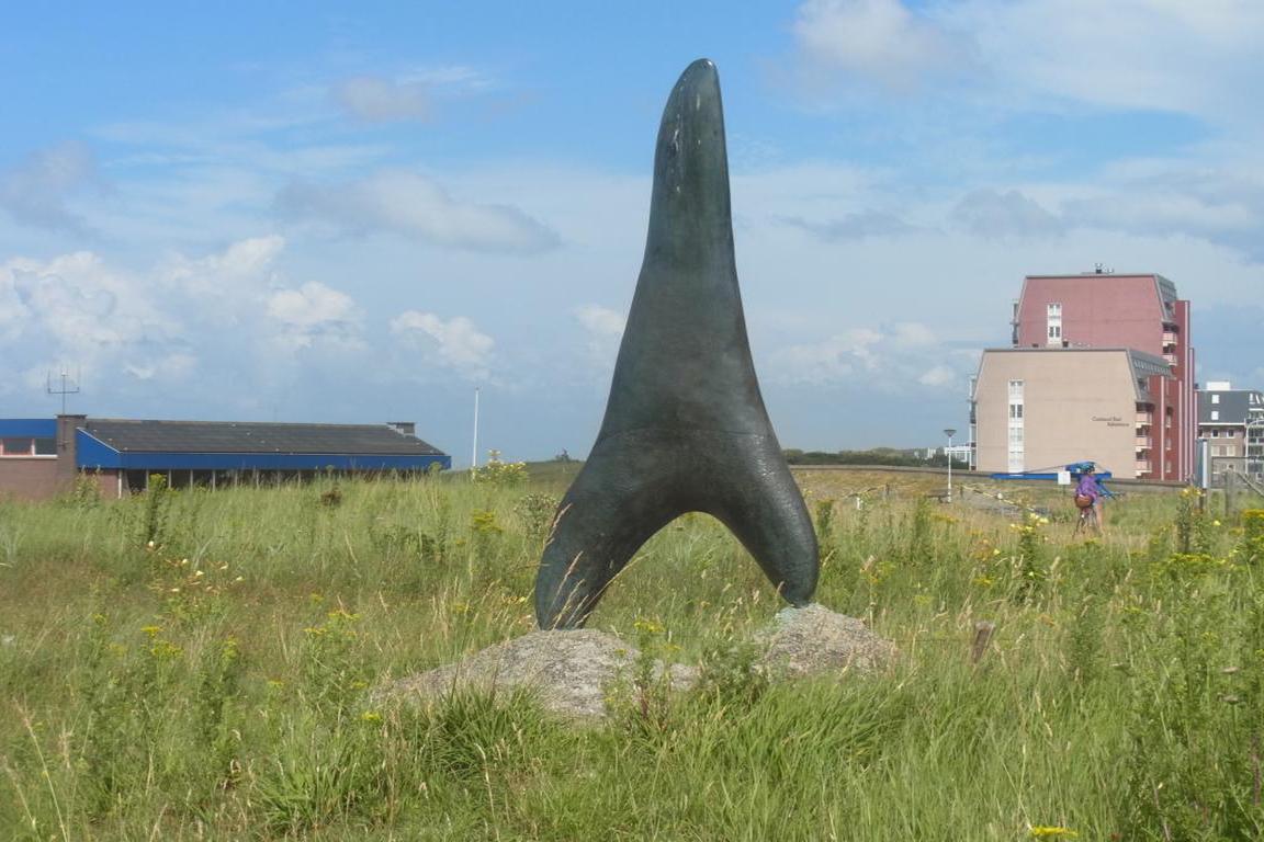 Haaientanden op het strand - Cadzand-Bad